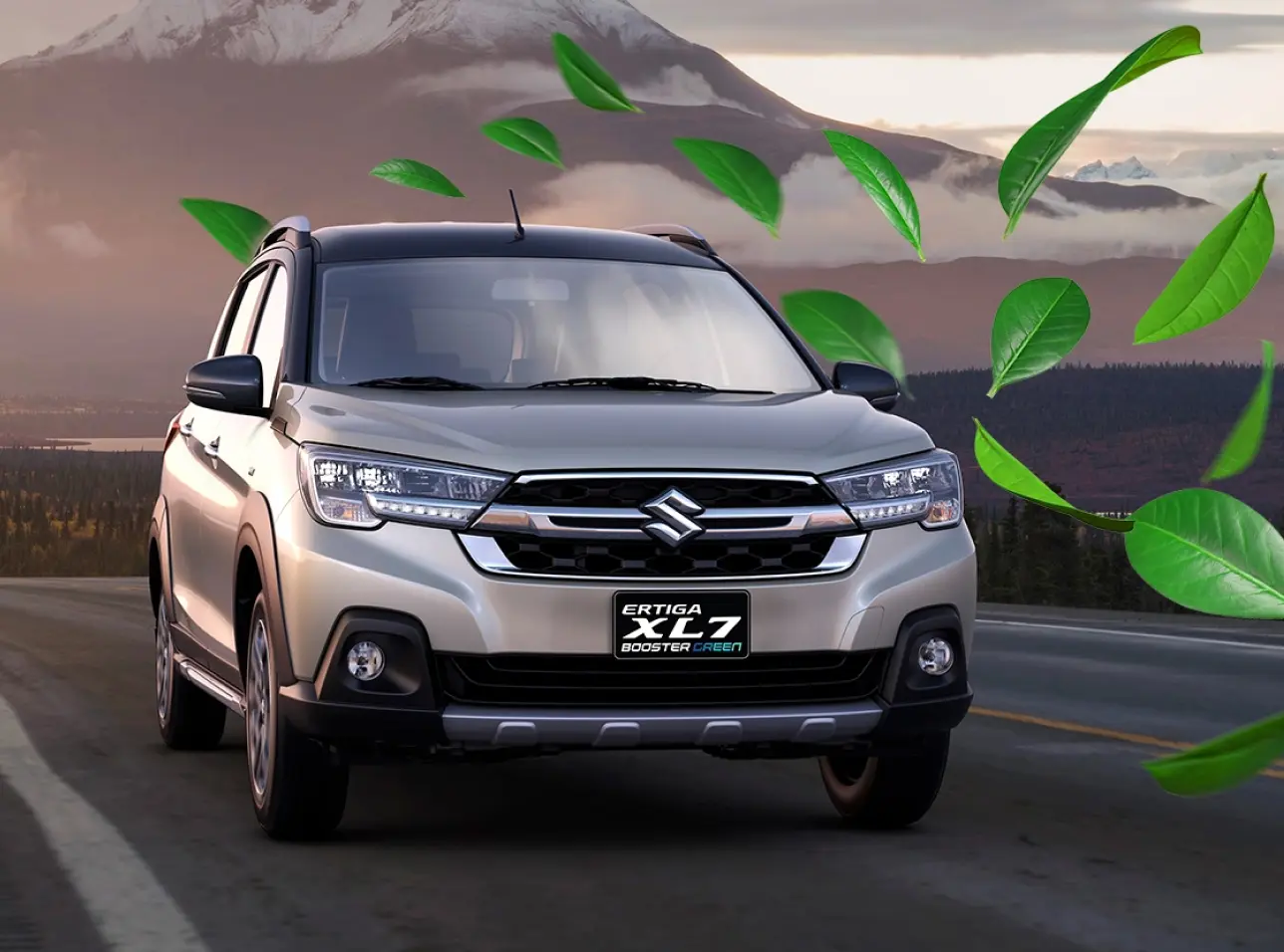 SUZUKI MORELIA